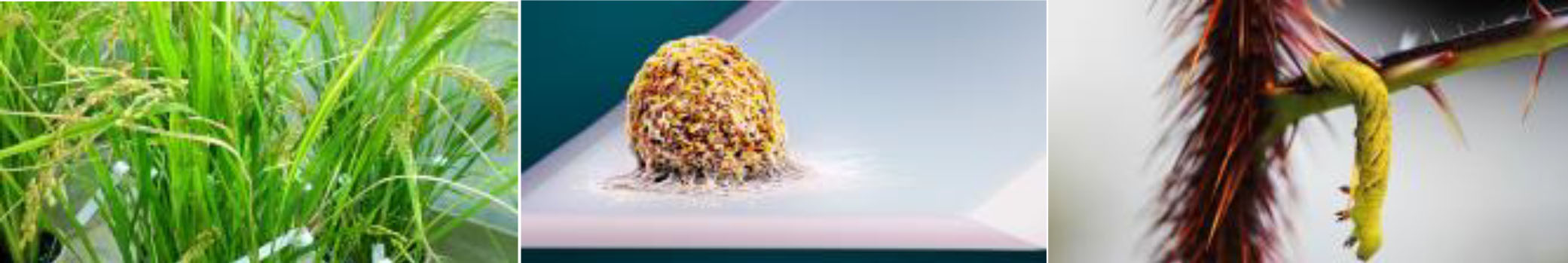 UZH - Life Science Zurich Graduate School - Application